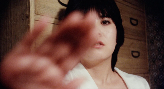 Abnormal Family: Older Brother’s Bride (1984) [Film Review]