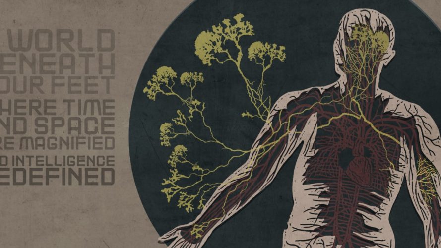 Into the Pink Whirlwind: Interview with Jasper Sharp