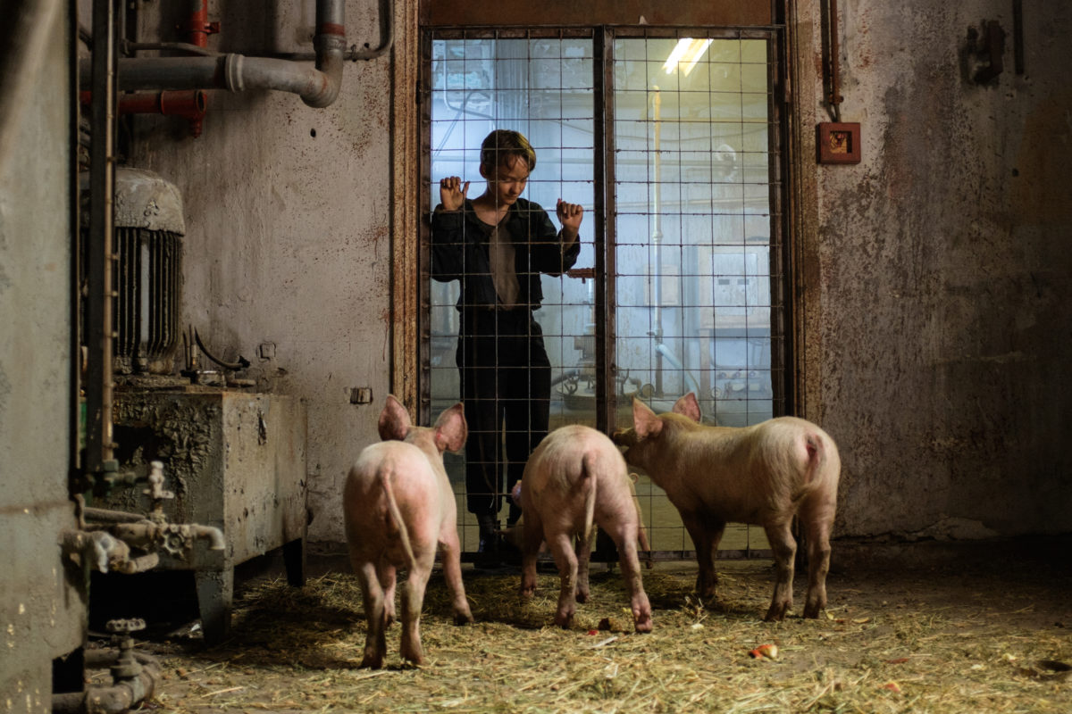 A Pure Place (2022) Movie Review - Children Of Elysion