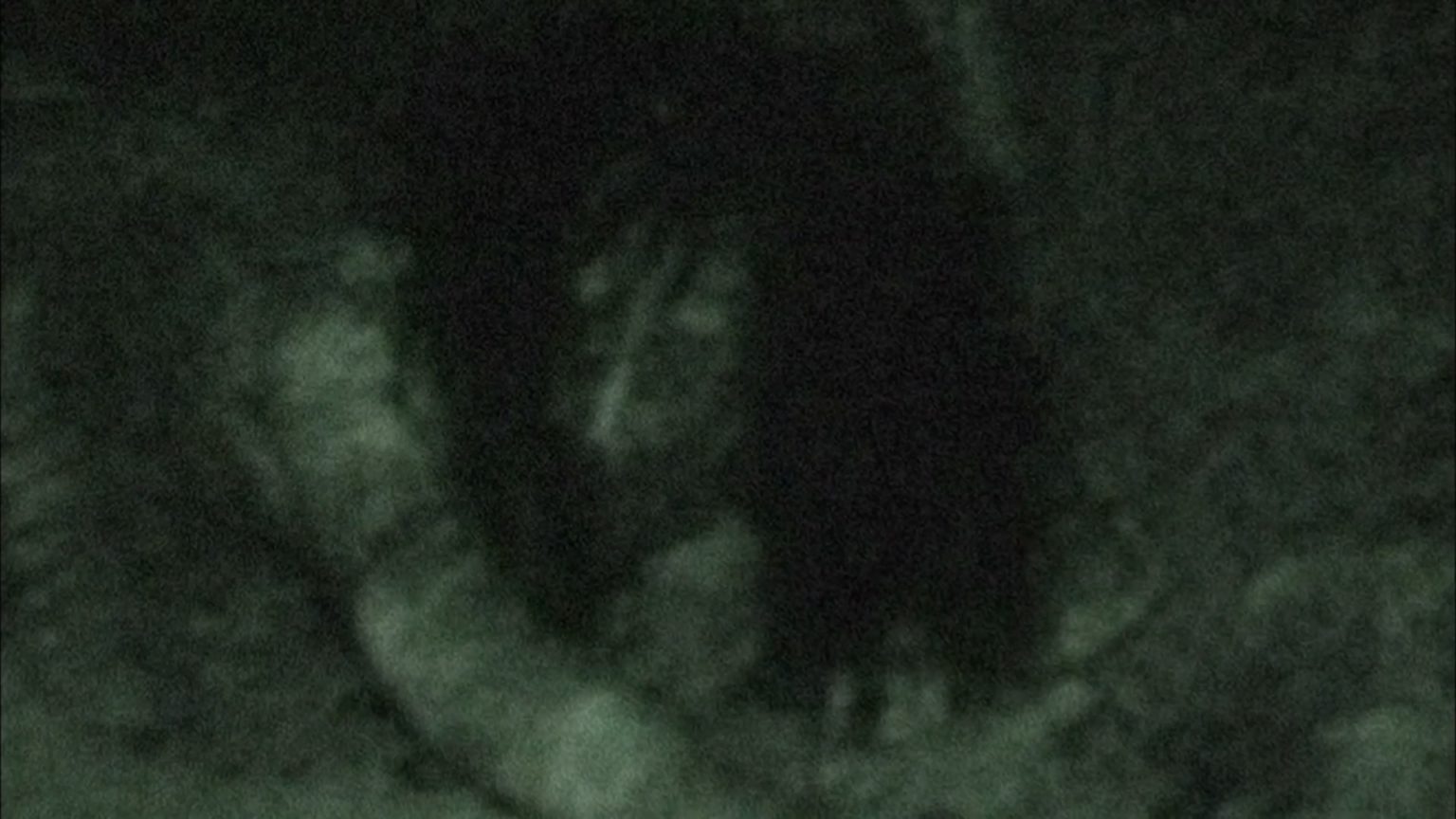 Senritsu Kaiki File Kowasugi! File 03: Legend of a Human-Eating Kappa (2013) Film Review