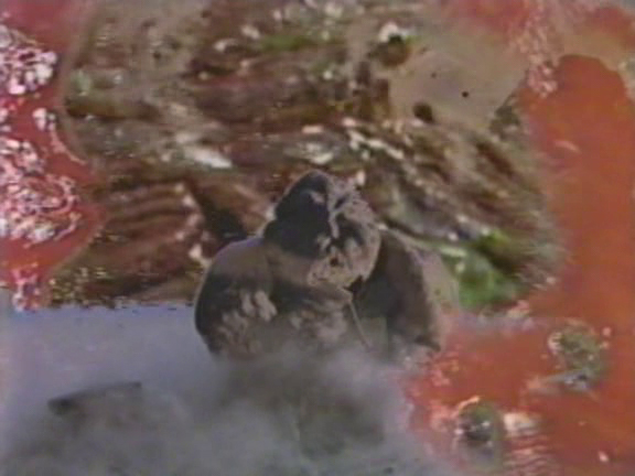 Death Powder (1986) Film Review