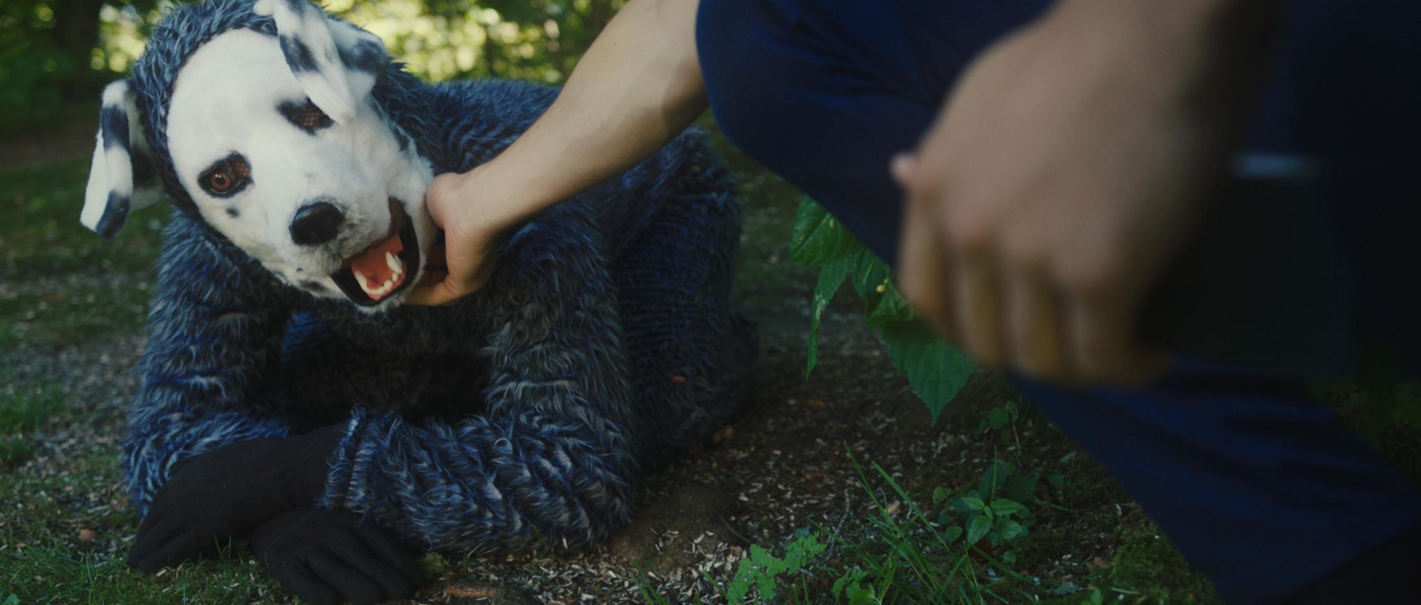 Good Boy (2022) Film Review - Man's Best Friend