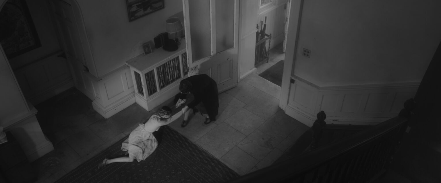 Fright (2024) Film Review - It'll Be Alright on the Fright