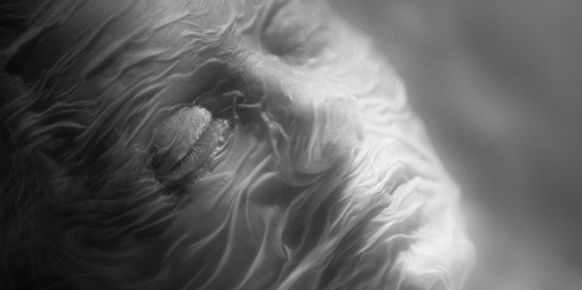 Else (2024) Film Review [Fantastic Fest]