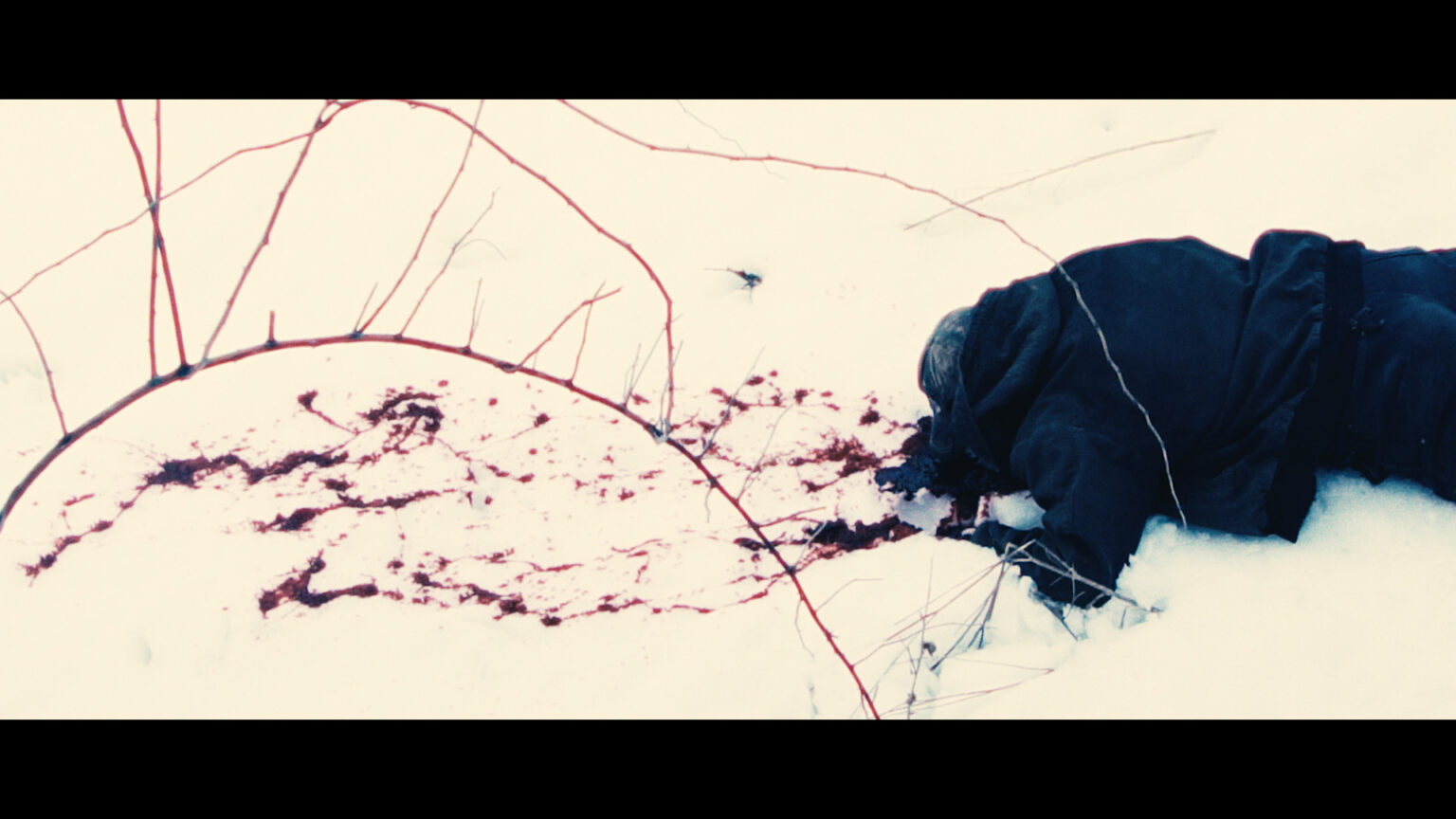The Profane Exhibit (2013) Film Review